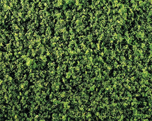 Faller 181392 HO Scale Foliage Ground Cover -- Medium Green - Black ...