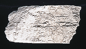 Woodland Scenics 1217 All Scale Earth Colors Liquid Pigment(TM) - 4oz ...