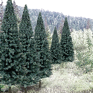 Woodland Scenics 1587 All Scale Blue Spruce Tree Value Pack - Ready ...