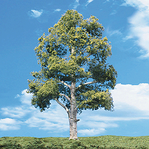 Woodland Scenics 3534 All Scale Woodland Classic Trees(R) Ready Made ...